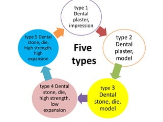 Gypsum Dental Stone Models