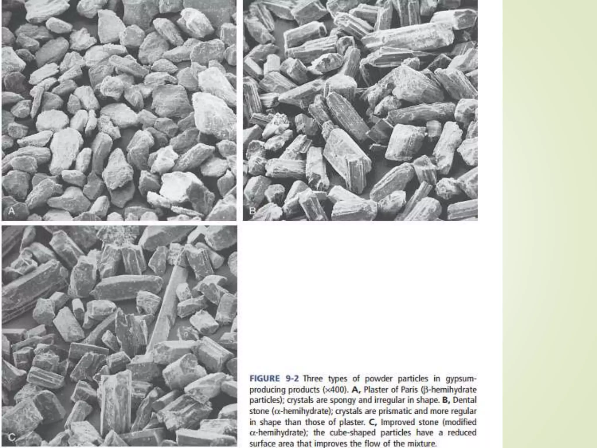 Gypsum products | PPTX