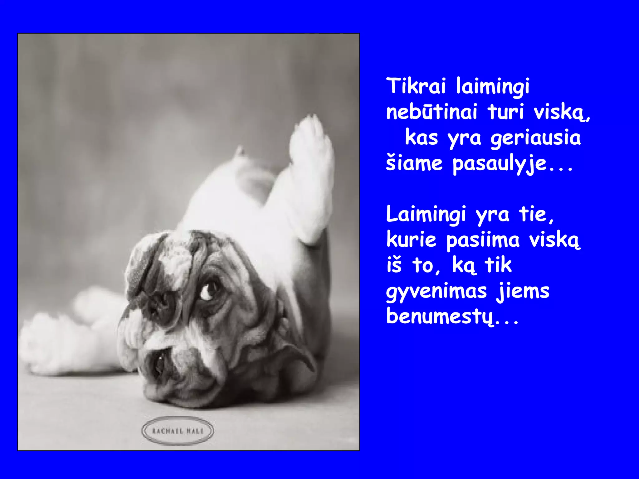 Gyvenimas | PPS