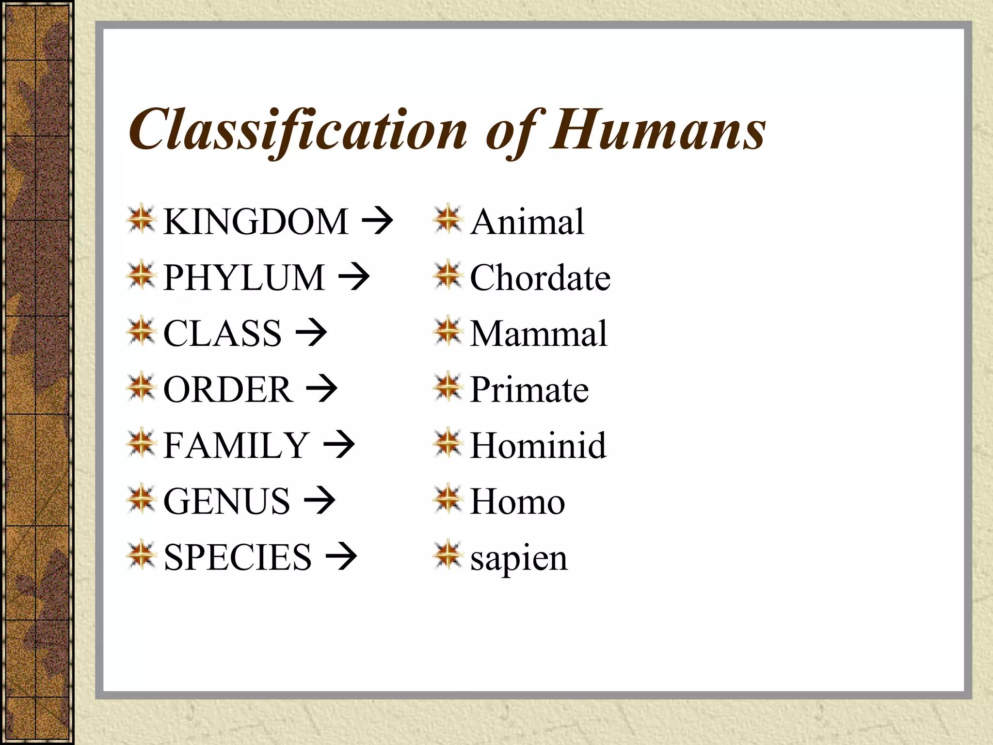 H.evolution honors final | PPT