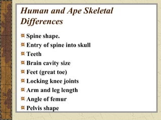 H.evolution honors final | PPT