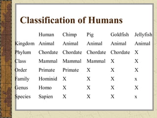H.evolution honors final | PPT