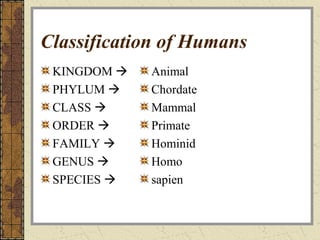 H.evolution honors final | PPT