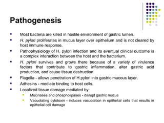 H. pylori | PPT