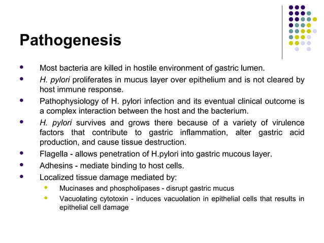 H. pylori | PPT | Digestive Disorders | Diseases and Conditions