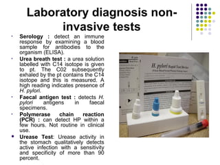 H. pylori | PPT