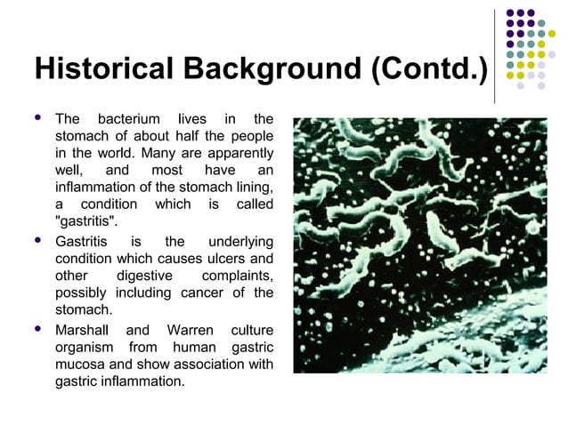 H. pylori | PPT | Digestive Disorders | Diseases and Conditions