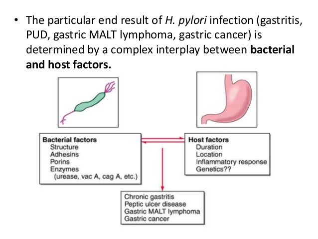 H.pylori associated GI disorders