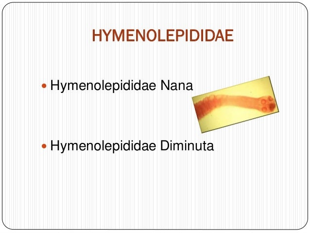 Hymenolepididae - Alchetron, The Free Social Encyclopedia