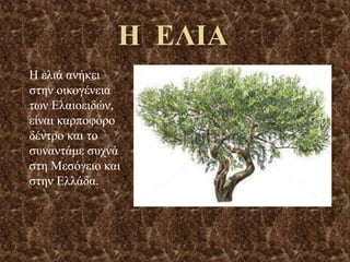 H ελιά πηγή ζωης | PPTX
