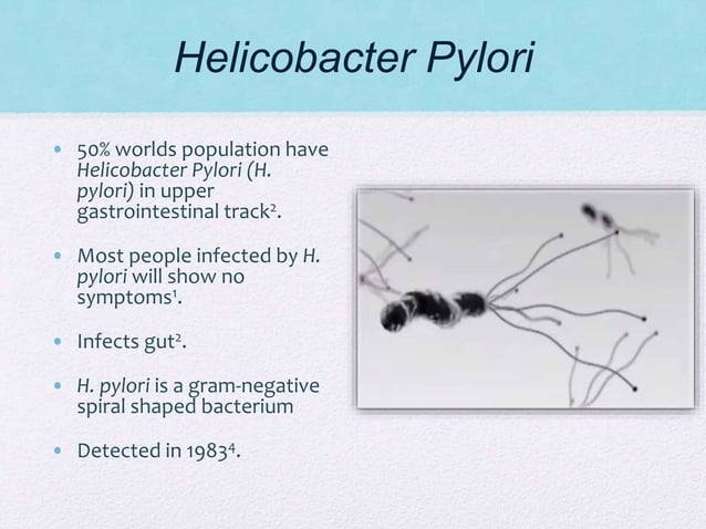 How Helicobacter Pylori can cause gastric ulcerations and how this can ...