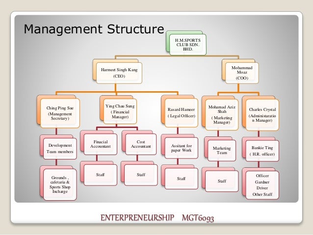 Nfl Football Team Organizational Structure