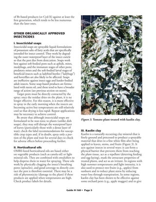 Selection and Use of Insecticides for Organic Production - New Mexico State University | PDF