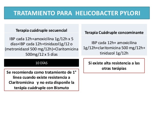Tratamiento Helicobacter Pylori