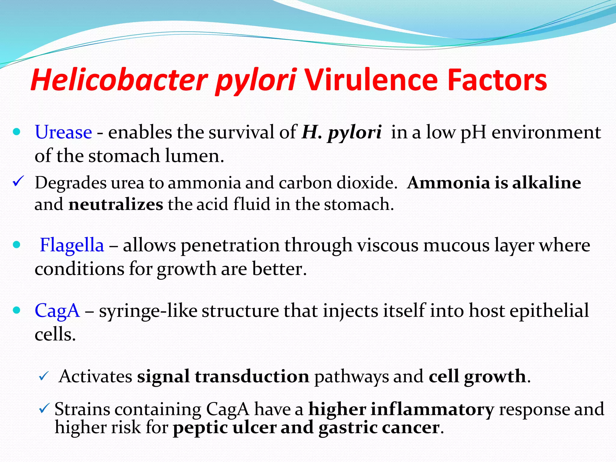 Helicobacter pylori and Peptic Ulcer disease | PPTX