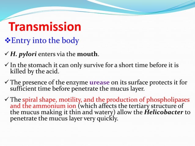 Helicobacter pylori and Peptic Ulcer disease | PPTX