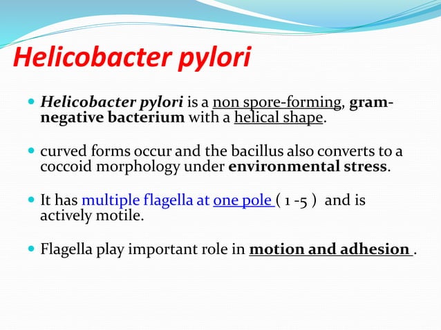 Helicobacter pylori and Peptic Ulcer disease | PPTX