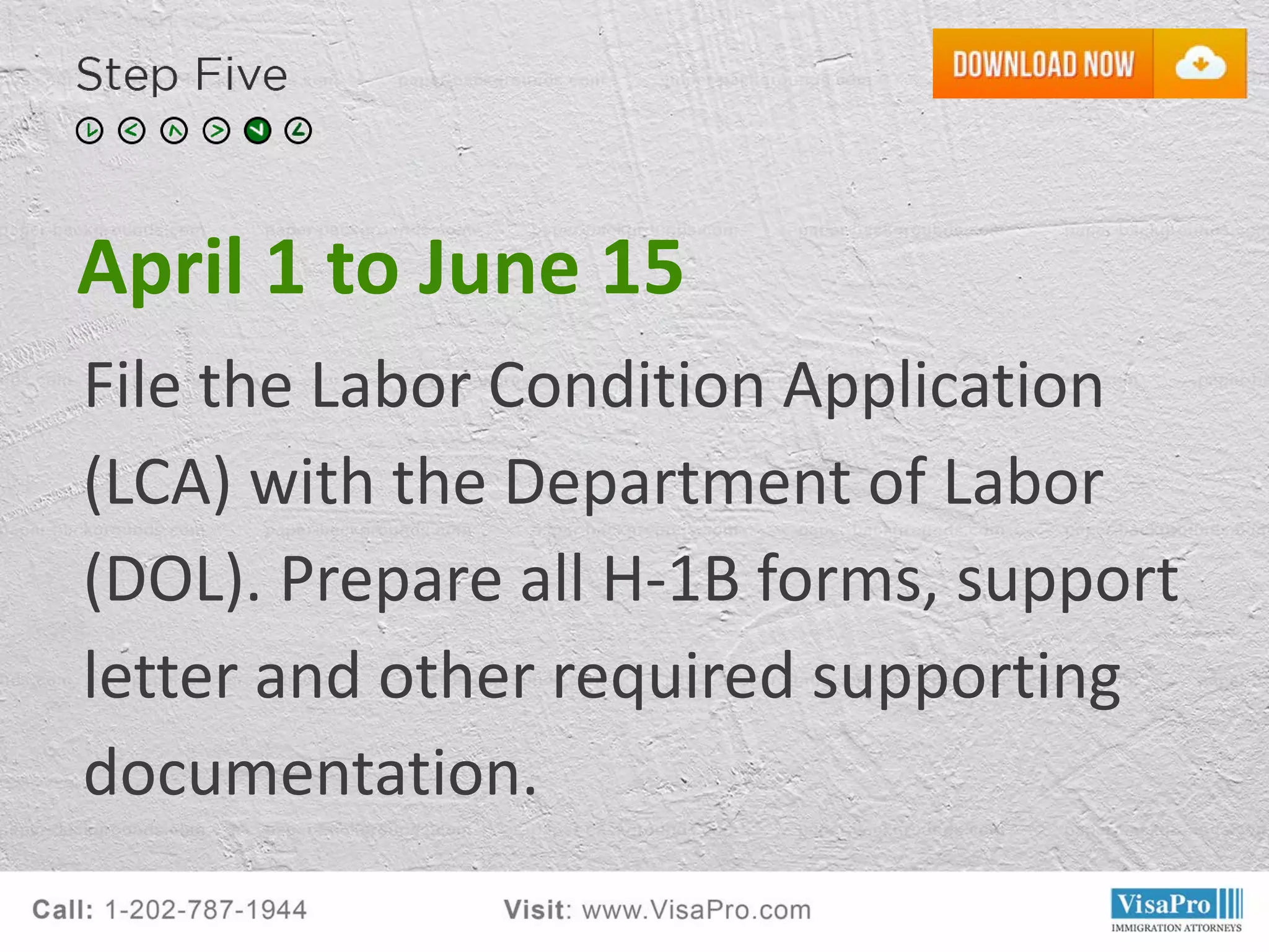 6 Easy Steps For Successful H1 Visa 2024 Filing | PDF