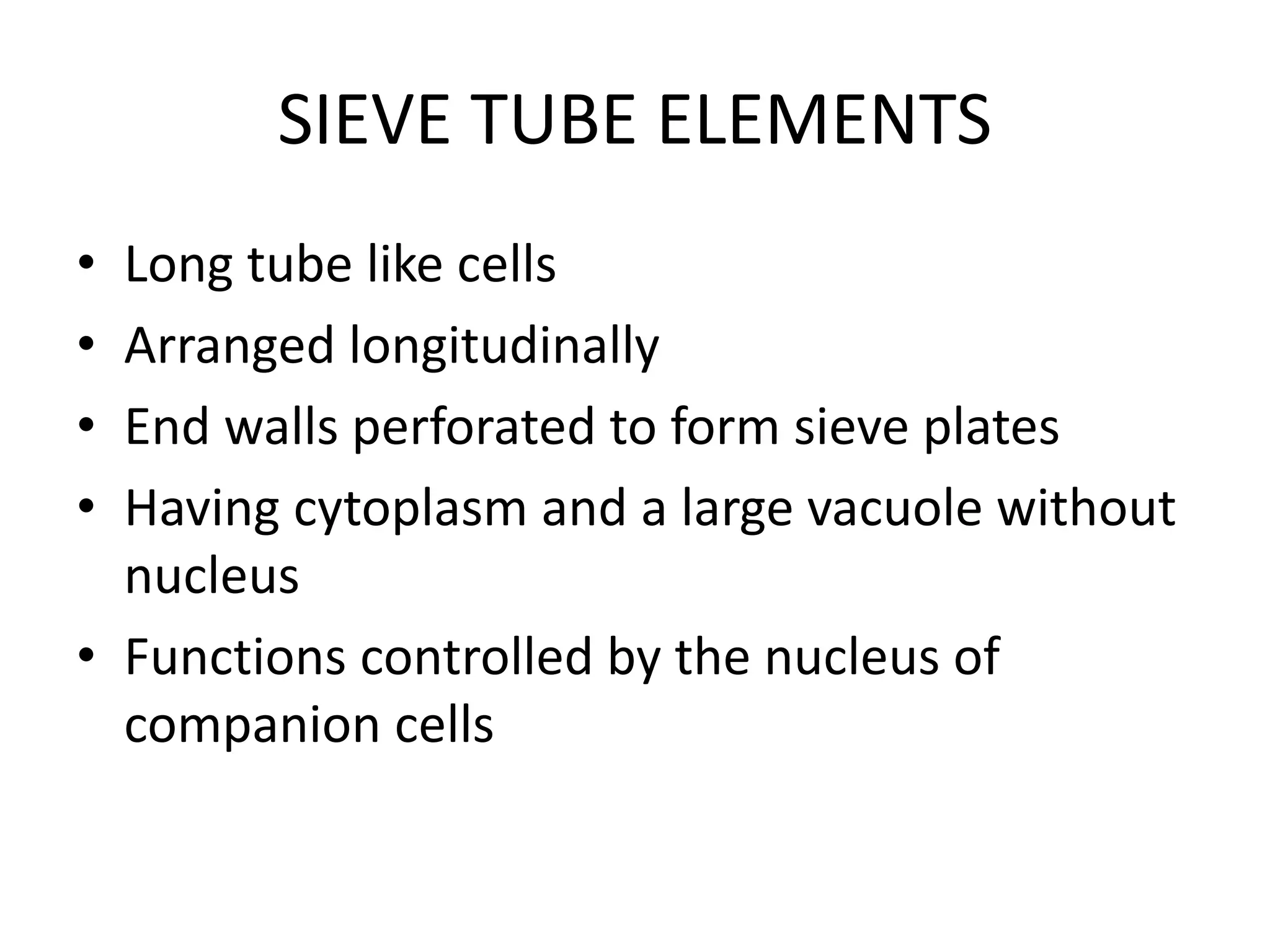 ANATOMY OF FLOWERING PLANTS | PPT