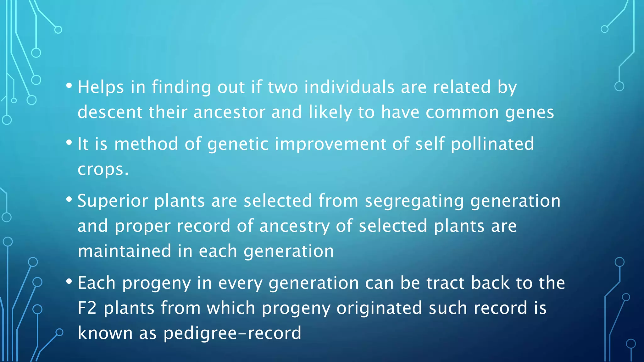 Pedigree Breeding Method | PPTX