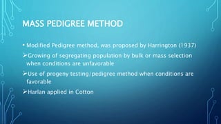 Pedigree Breeding Method | PPTX