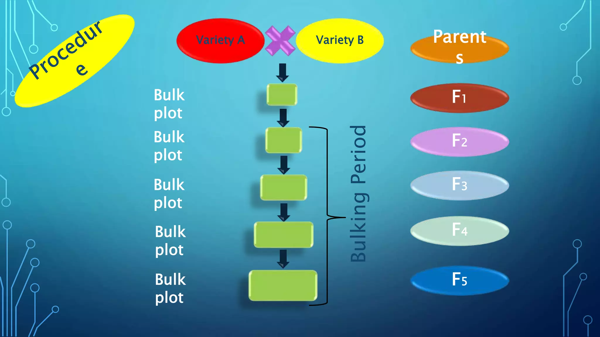 Bulk Breeding Method | PPTX