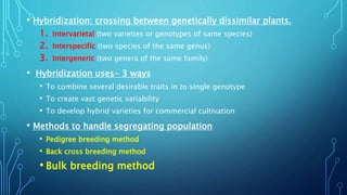 Bulk Breeding Method | PPTX