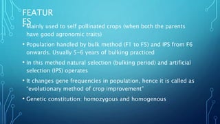 Bulk Breeding Method | PPTX