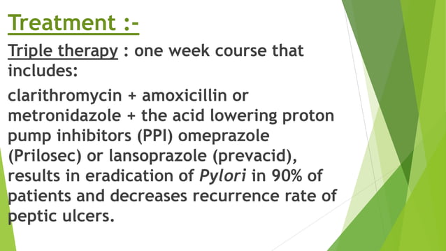 Helicobacter Pylori & Campylobacter bacteria. | PPT | Free download