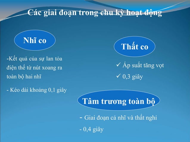Sinh học cơ thể động vật (Sinh học đại cương) | PPTX