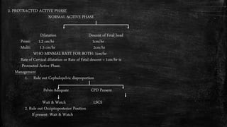 STAGES OF LABOR | PPTX | Pregnancy | Reproductive Health