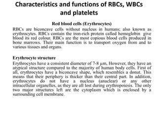 Haematopoietic system by Yogesh patel | PPT