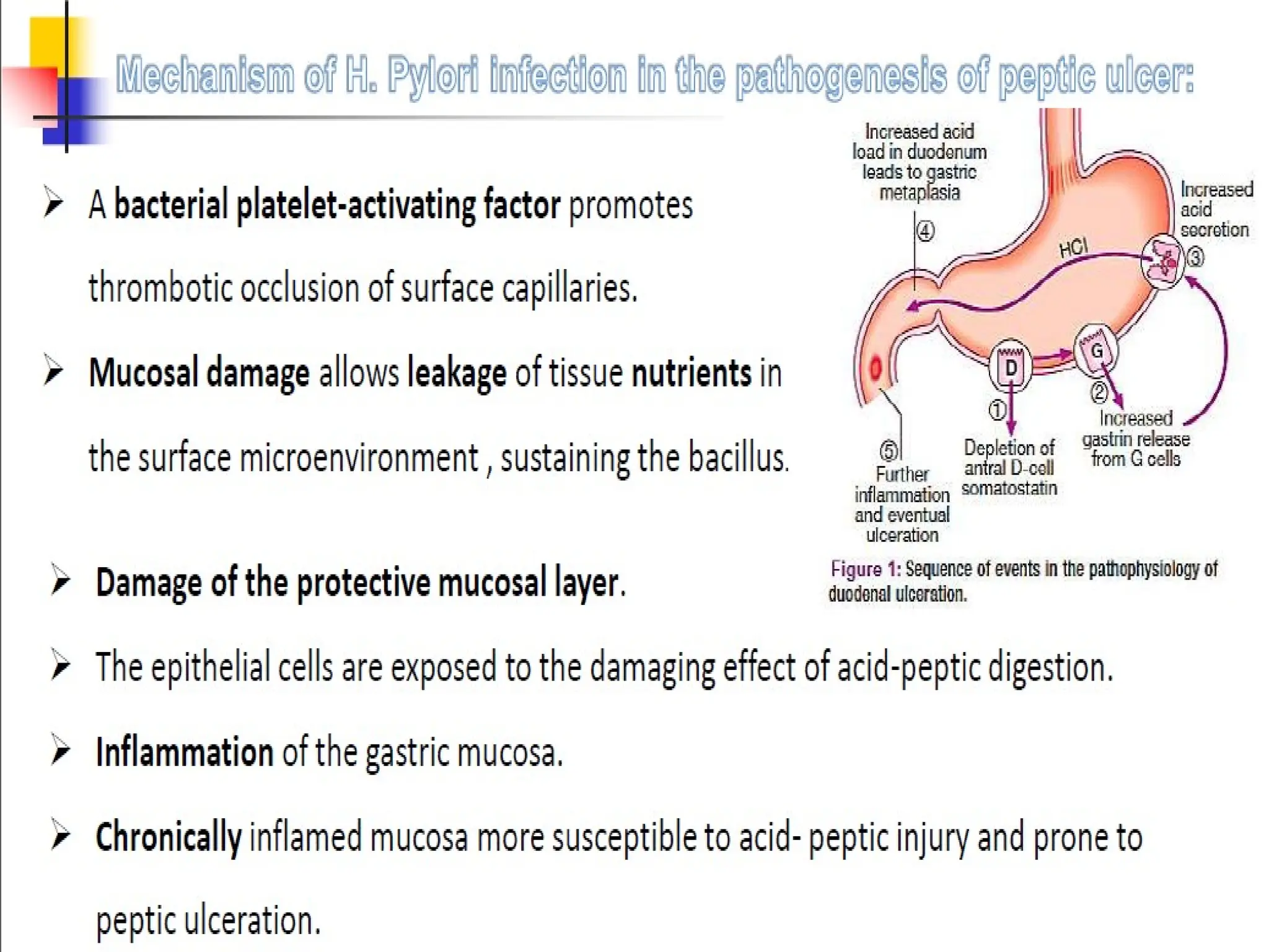 Presentation about H.pylori infection .pptx