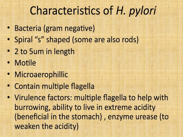 Presentation about H.pylori infection .pptx