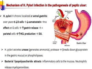 Presentation about H.pylori infection .pptx