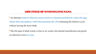H.nana.pptx Manoj Mahato Msc.Clinical micro | PPTX