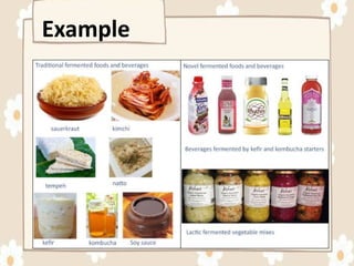 Types of Fermentation Types of Fermentat | PPTX