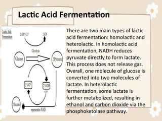 Types of Fermentation Types of Fermentat | PPTX