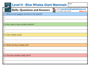 H Blue Whales | PDF