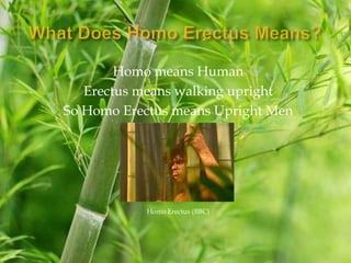 H. erectus presentation | PPTX