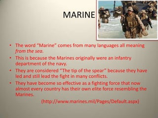 H First 15 Slides | PPTX | Arms & Ammunition | Sensitive Topics