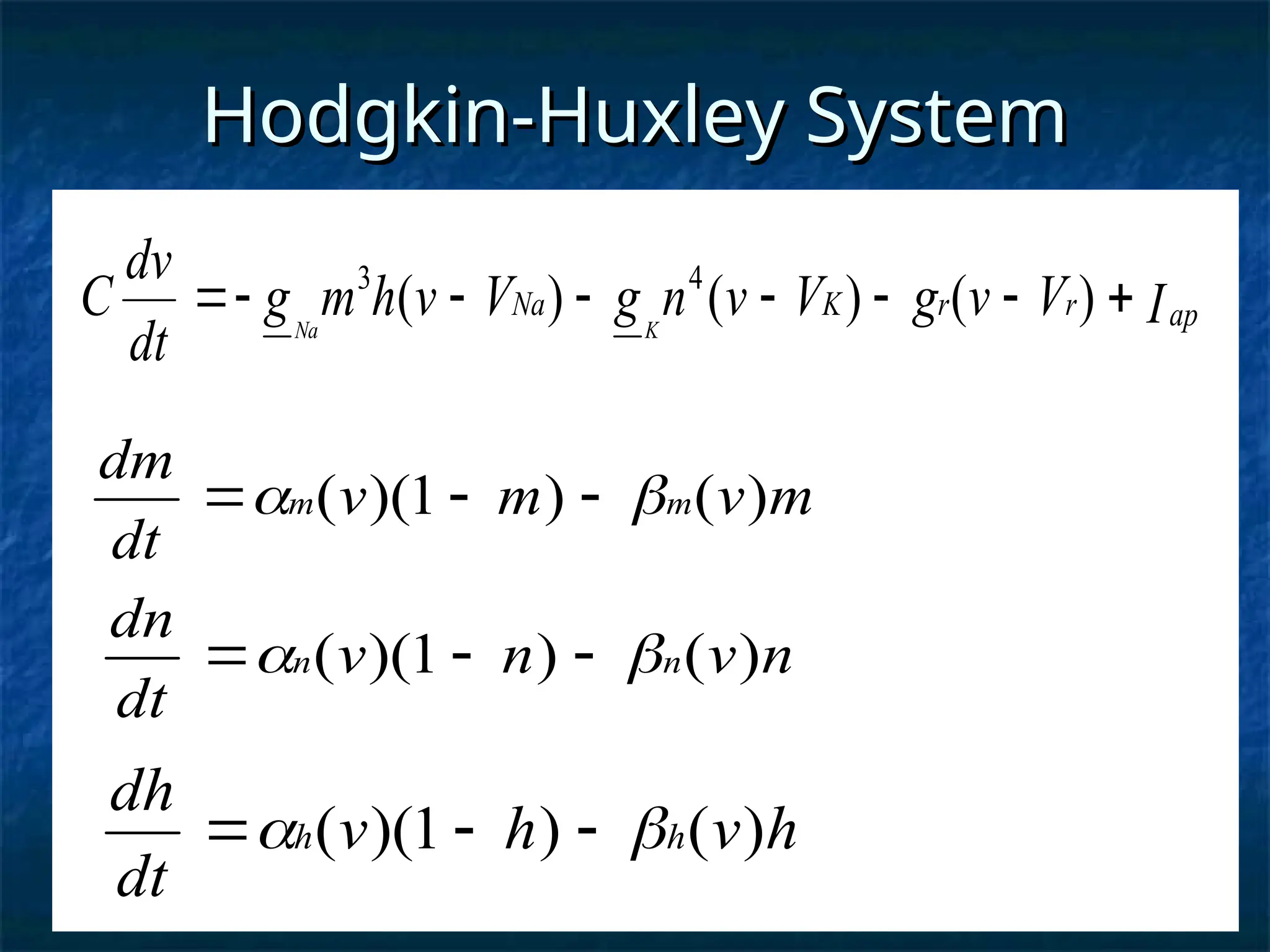The Hodgkin-Huxley Model for Neuron Action Potentials | PPT