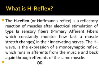 H reflex (Hoffmann's Reflex) | PPT