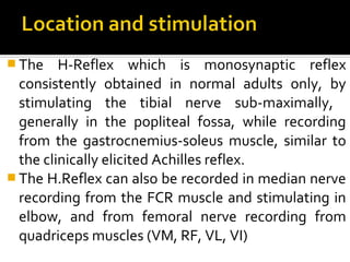 H reflex (Hoffmann's Reflex) | PPT