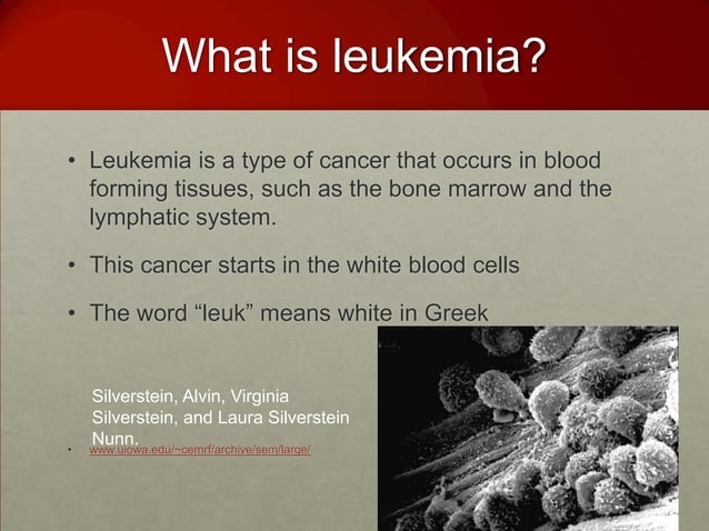 H sgp power point 1st submission | PPT