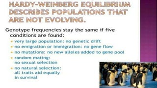 Hardy-Weinberg Equilibrium | PPTX