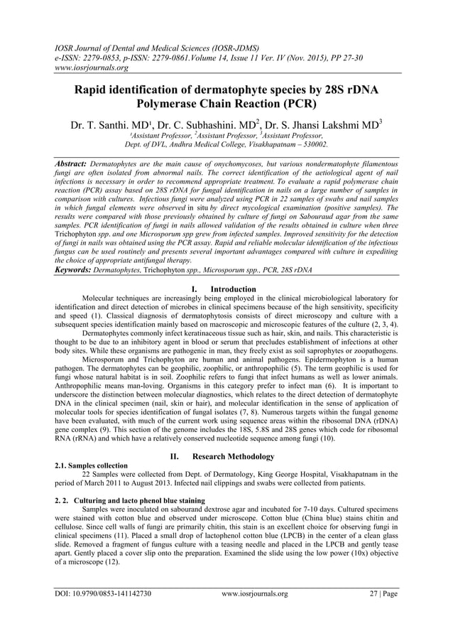 Rapid identification of dermatophyte species by 28S rDNA Polymerase ...