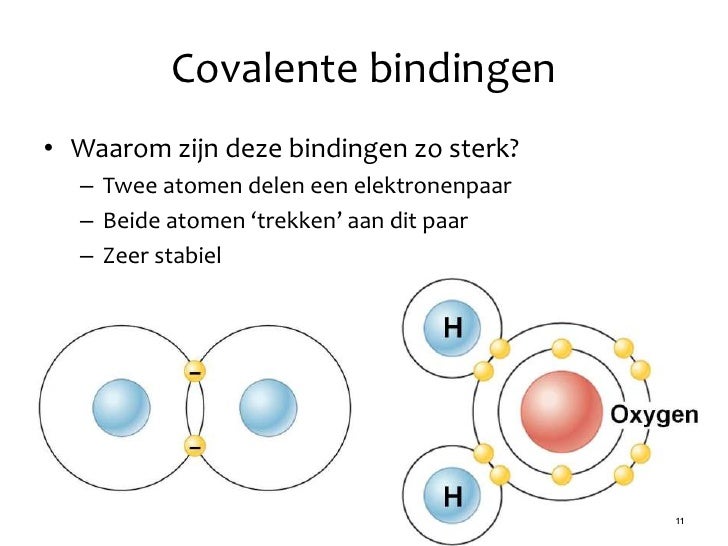 Hoofdstuk 02 - Audesirk