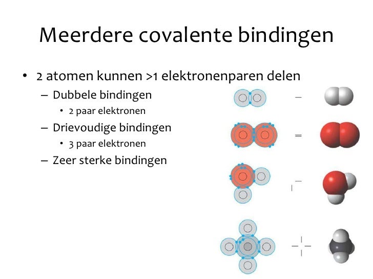 Hoofdstuk 02 - Audesirk