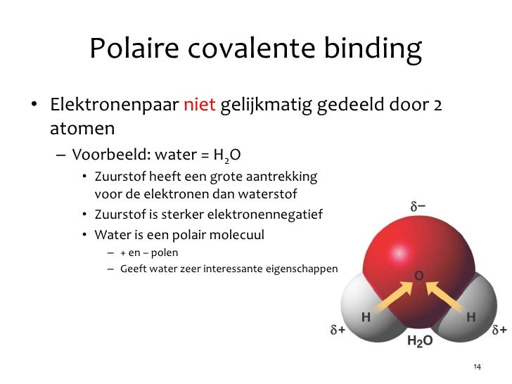 Hoofdstuk 02 - Audesirk